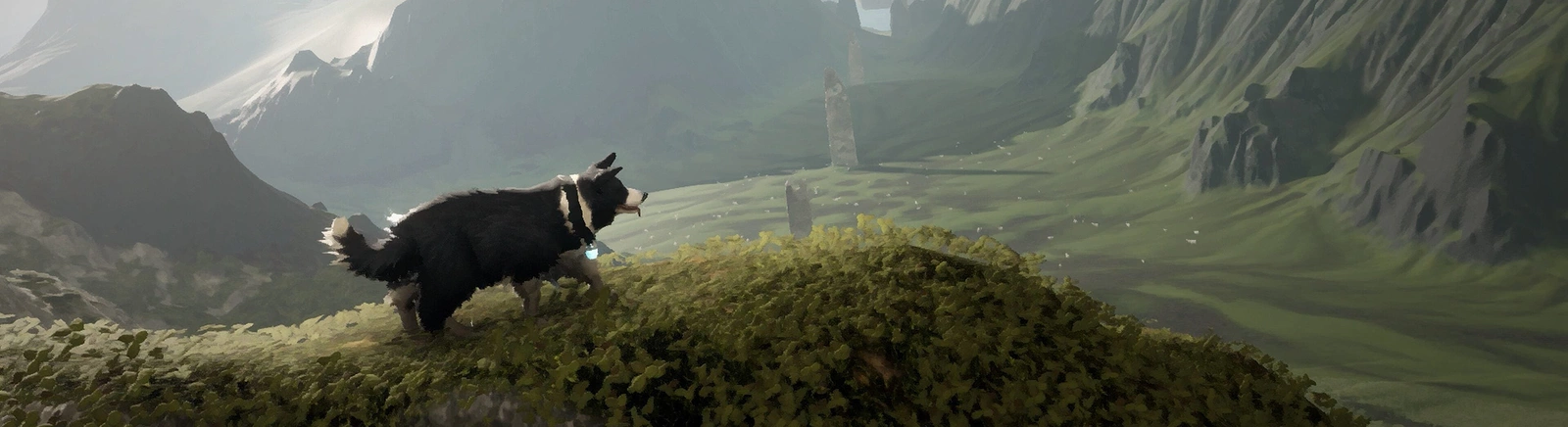 Купить The Free Shepherd дешево, скидки до 90% 🏷️, сравнение цен в ...